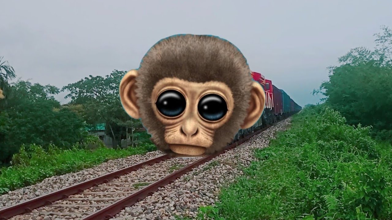 monkey train/big train 😂 train video - YouTube
