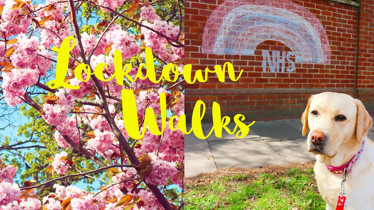 Lockdown Dog Walks: Part Five | VEE'S VOYAGES - YouTube