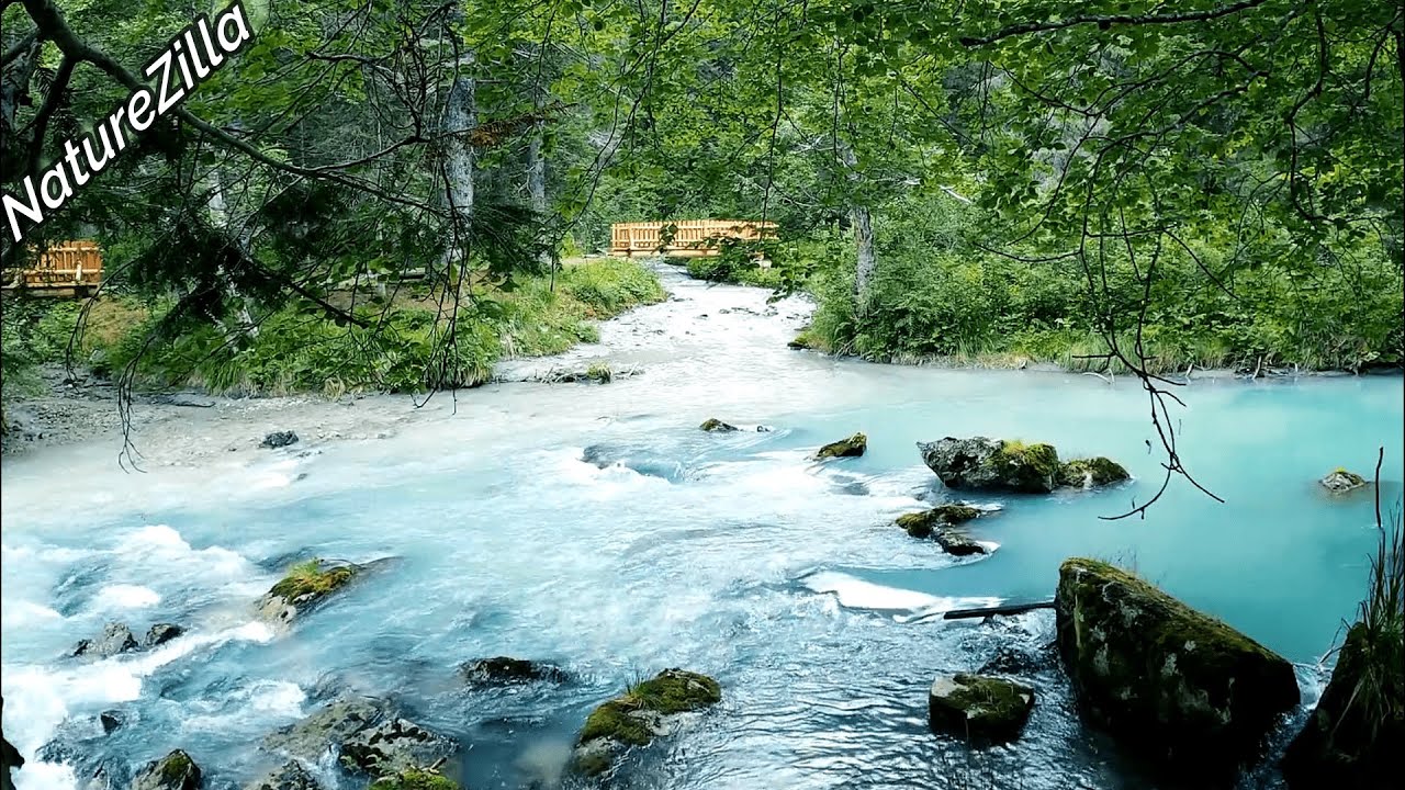 Peaceful Forest River - Relaxing Water Stream Sounds, 10 Hours, Nature ...