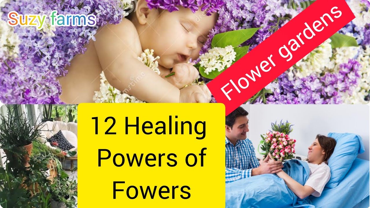 The healing power of #flowers that you should know..#health #benefits ...