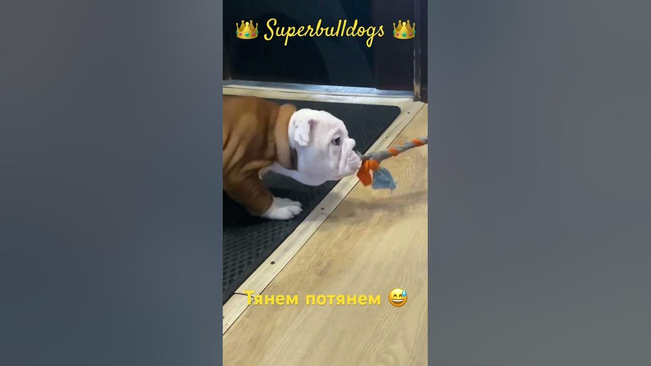 Малыши карандаши - YouTube