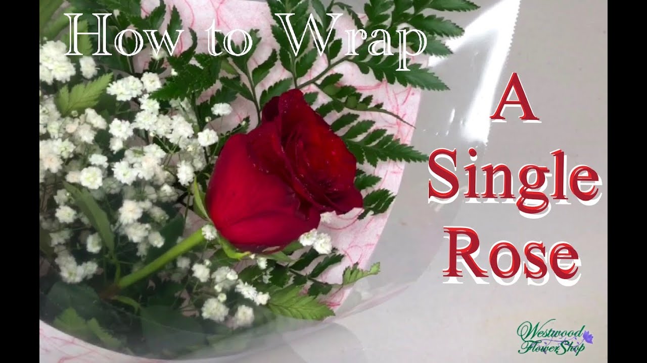 How To Wrap A Single Rose YouTube how-to-wrap-a-single-rose-youtube