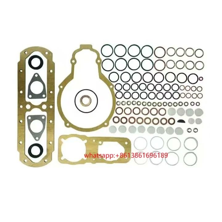 Fuel injector & accessories 800620 800619 096010-0010 2417010045 800457 ...