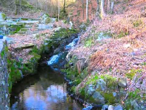 Graži gamta - YouTube