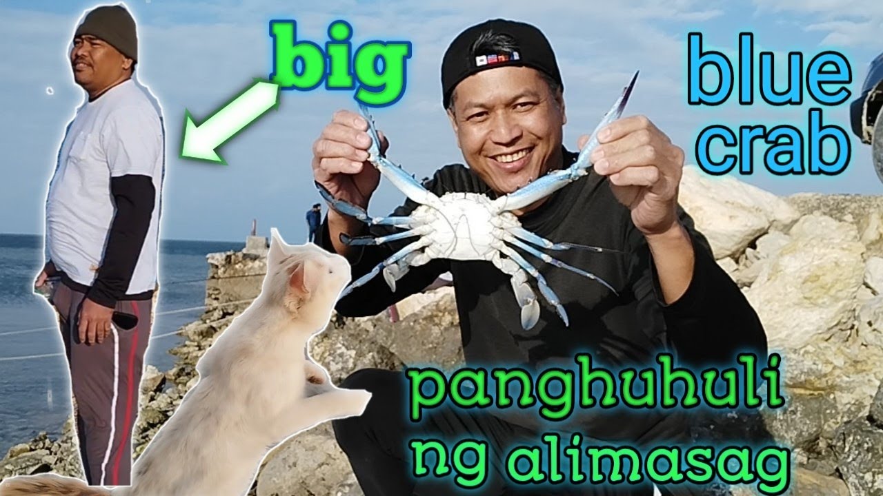 panghuhuli ng alimasag big blue crab - YouTube