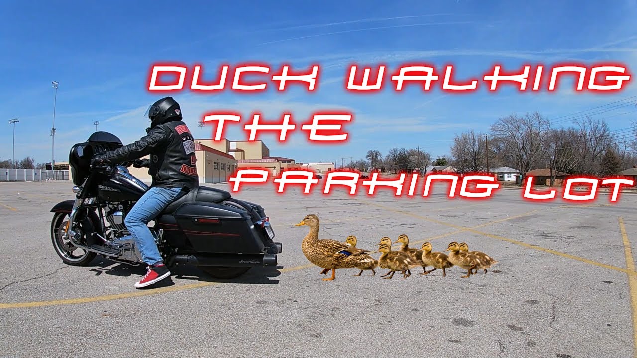How to Ride a Motorcycle | Part 2 Friction Zone and Braking - YouTube