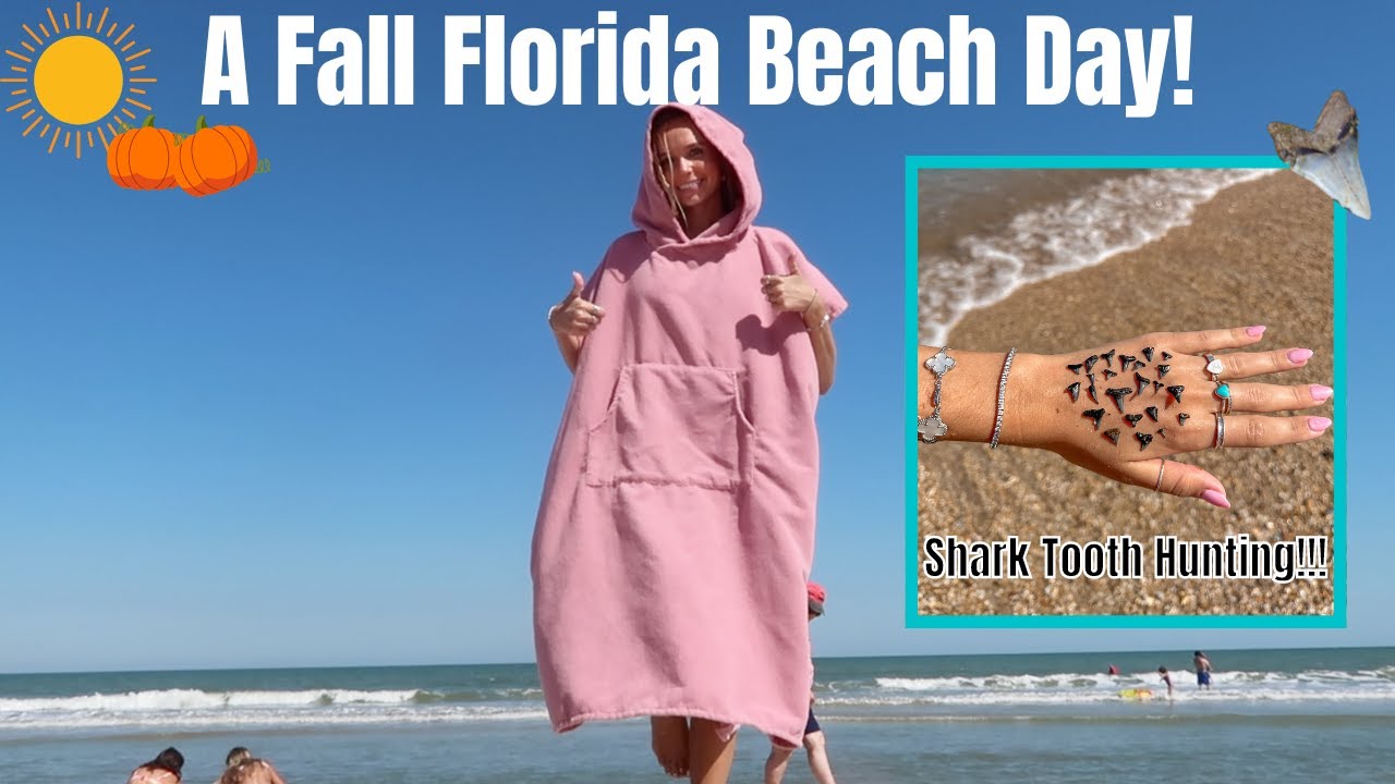 Florida Fall Beach Day in my Life | Hunting for Sharks Teeth | Grace ...