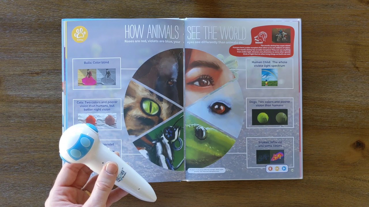 Talking STEM Book: Rainbows - How Do Animals See the World - YouTube
