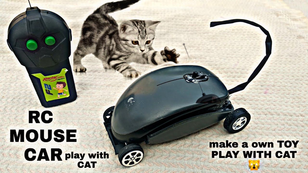 HOW TO MAKE MOUSE CAR AT HOME MOUSE RAT PET TOY RC MOUSE CAR DIY how-to-make-mouse-car-at-home-mouse-rat-pet-toy-rc-mouse-car-diy