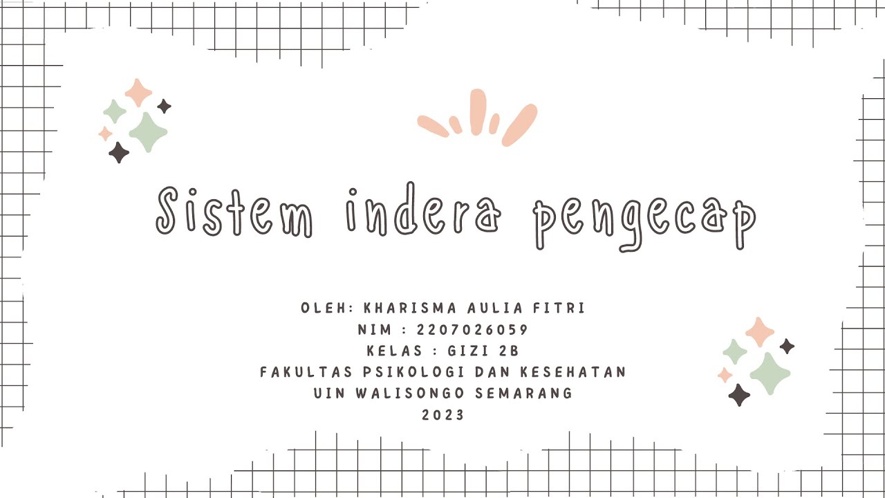 INDERA PENGECAP//ANATOMI FISIOLOGI - YouTube