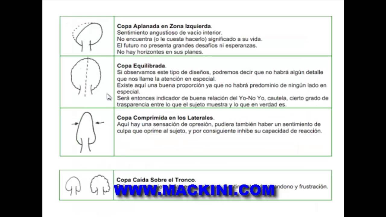 ARBOL TEST - DIBUJO - PRUEBA PSICOMETRICA REVELADA - YouTube