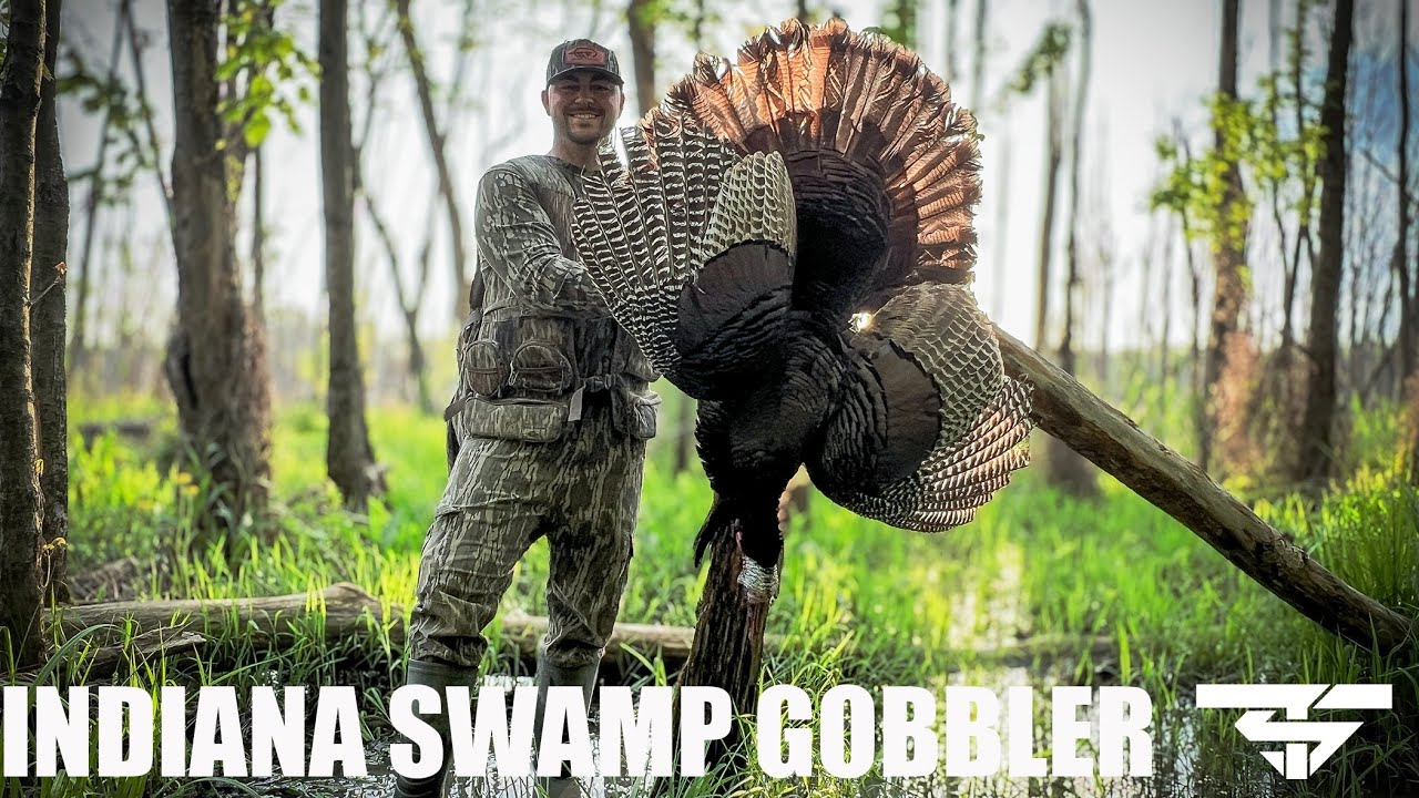 TURKEY HUNTING an Indiana SWAMP. (GOBBLING LIKE CRAZY) - YouTube