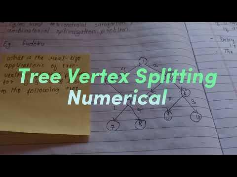 Tree Vertex Splitting Numerical | Analysis and Design Algorithm | PU - YouTube