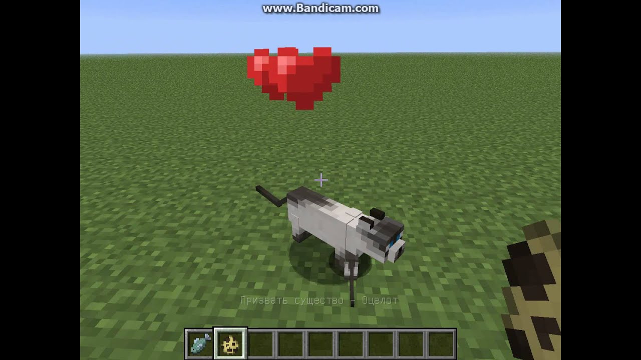 Как приучить оцелота в Minecraft 147 Youtube