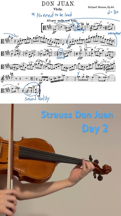 Strauss Don Juan Viola Excerpt - YouTube