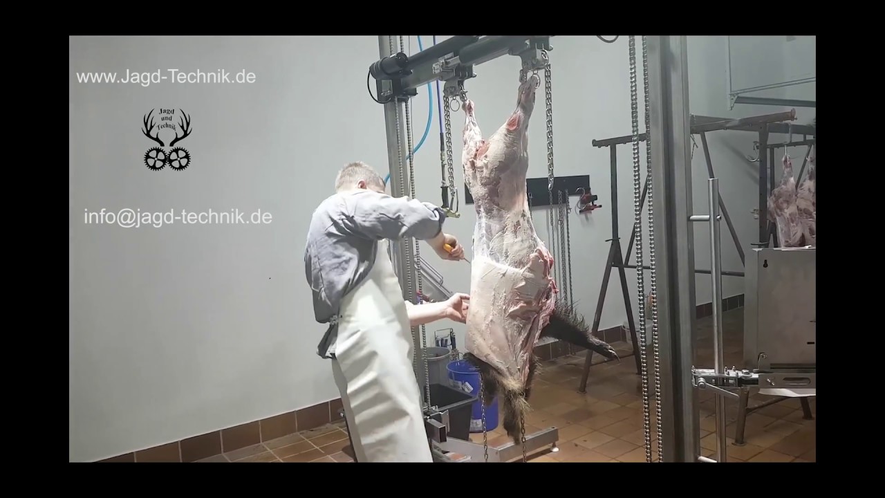 Wildschwein Abschwarten an der Zerwirkhilfe - YouTube