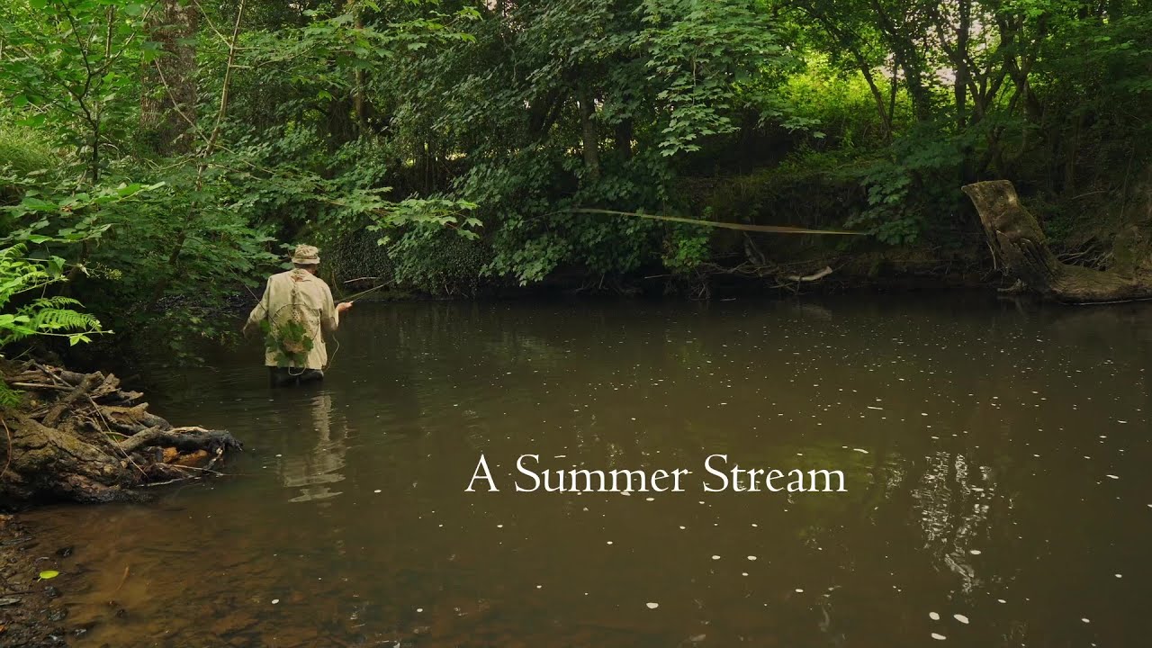 A Summer Trout Stream #flyfishing #trout #riverfishing #fishing - YouTube