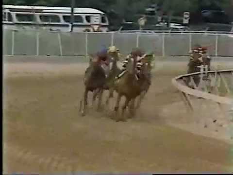 Affirmed vs. Alydar - 1978 Preakness Stakes - YouTube