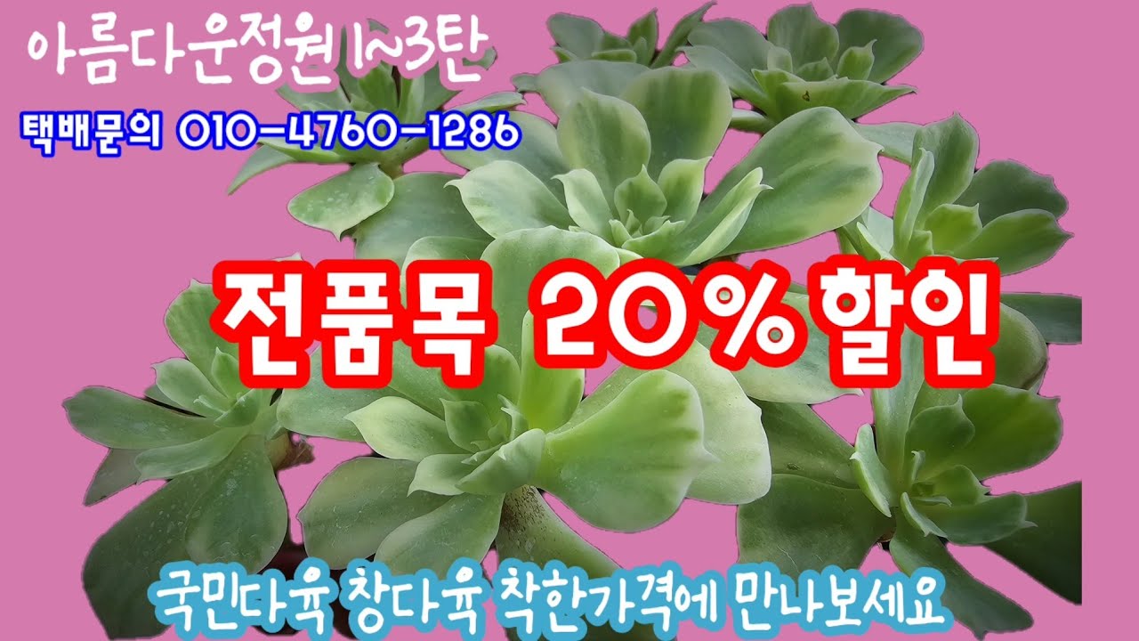 아름다운정원 1~3탄 한번에 몰아보기 군민다육 신상다육 쪼꼬미 창다육 착한가격 찜하세요 ♡잼스톤♡레몬로즈금♡폴라리하트