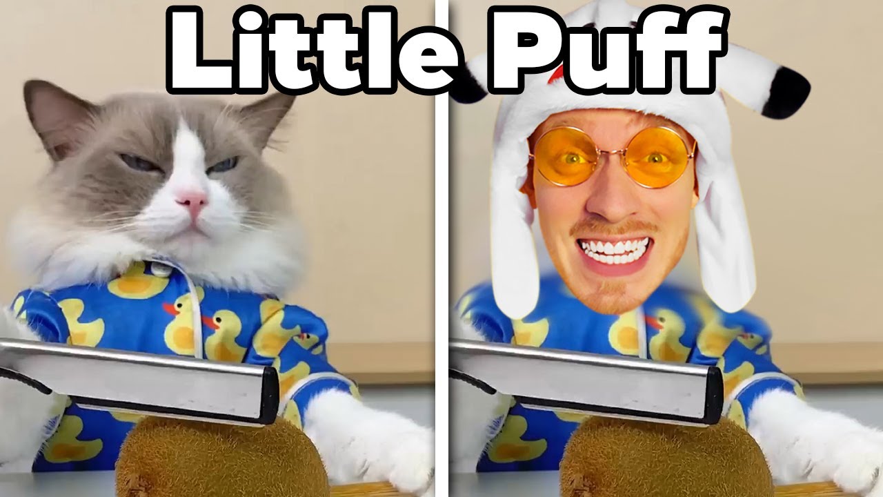 Sound effects of [That Little Puff] 😂 kitchen hacks for your weekend # ...