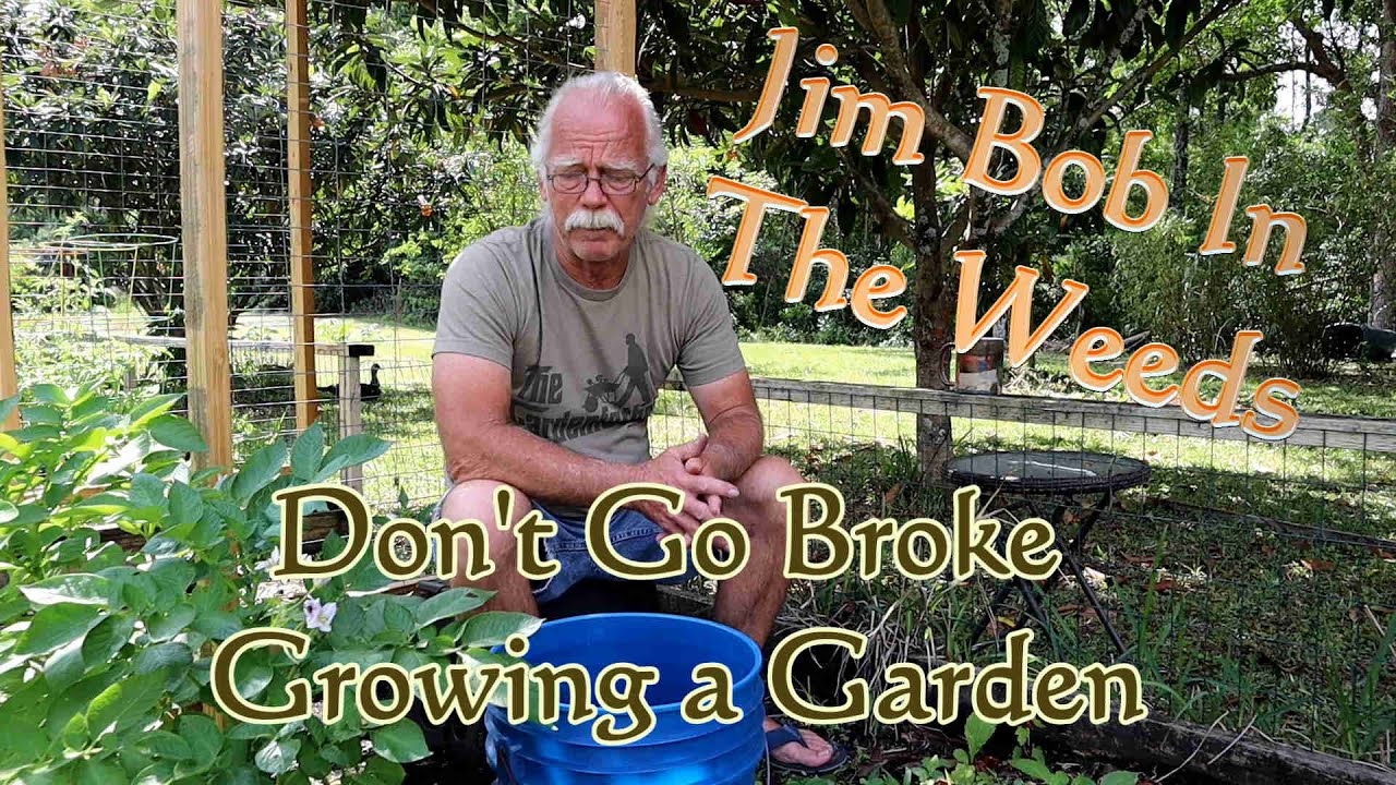 Don't Go Broke Growing a Garden - YouTube