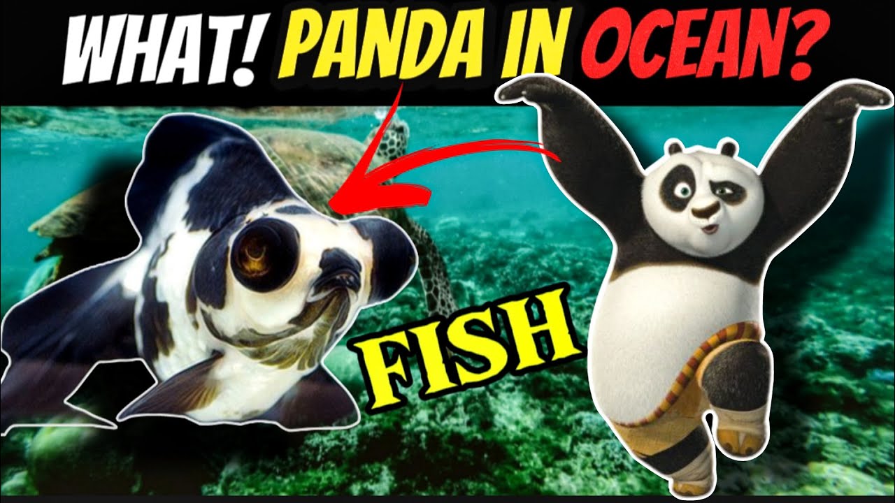 WHAT! Kungfu panda to FISH PANDA. - YouTube