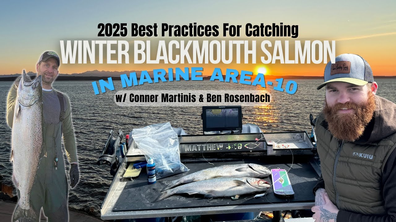 Fishing 2025 Winter Blackmouth Salmon In Area 10 Puget Sound with ...
