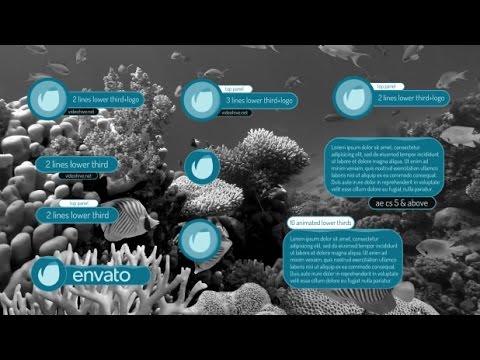 Water Lower Thirds (Videohive After Effects Template) - YouTube