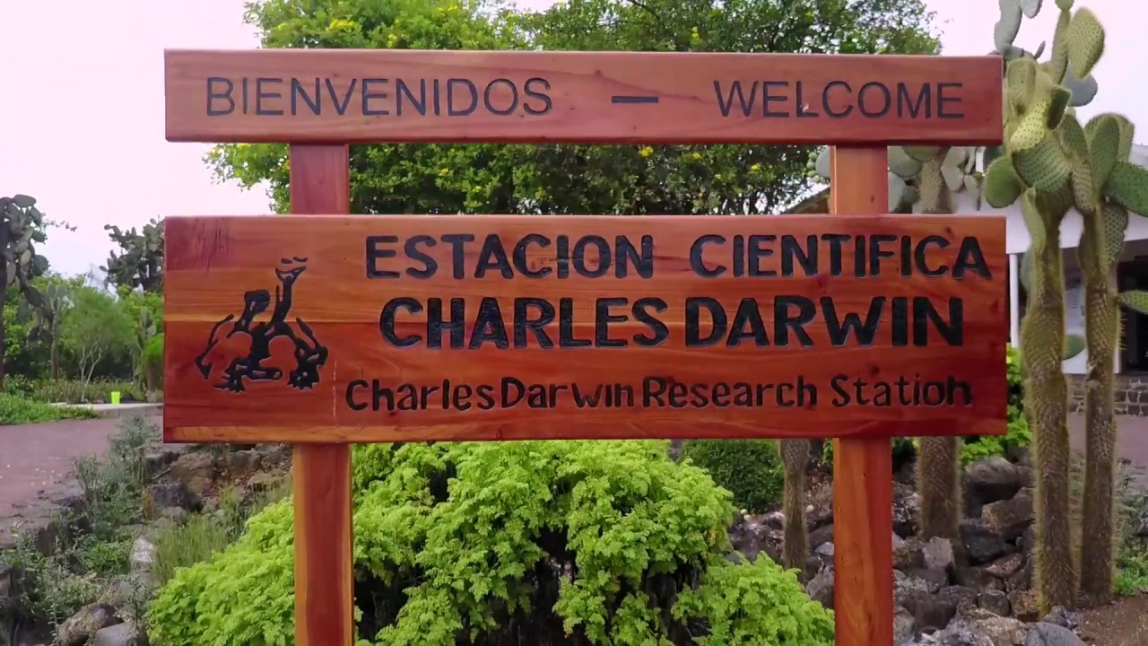 Welcome to the Charles Darwin Research Station. - YouTube
