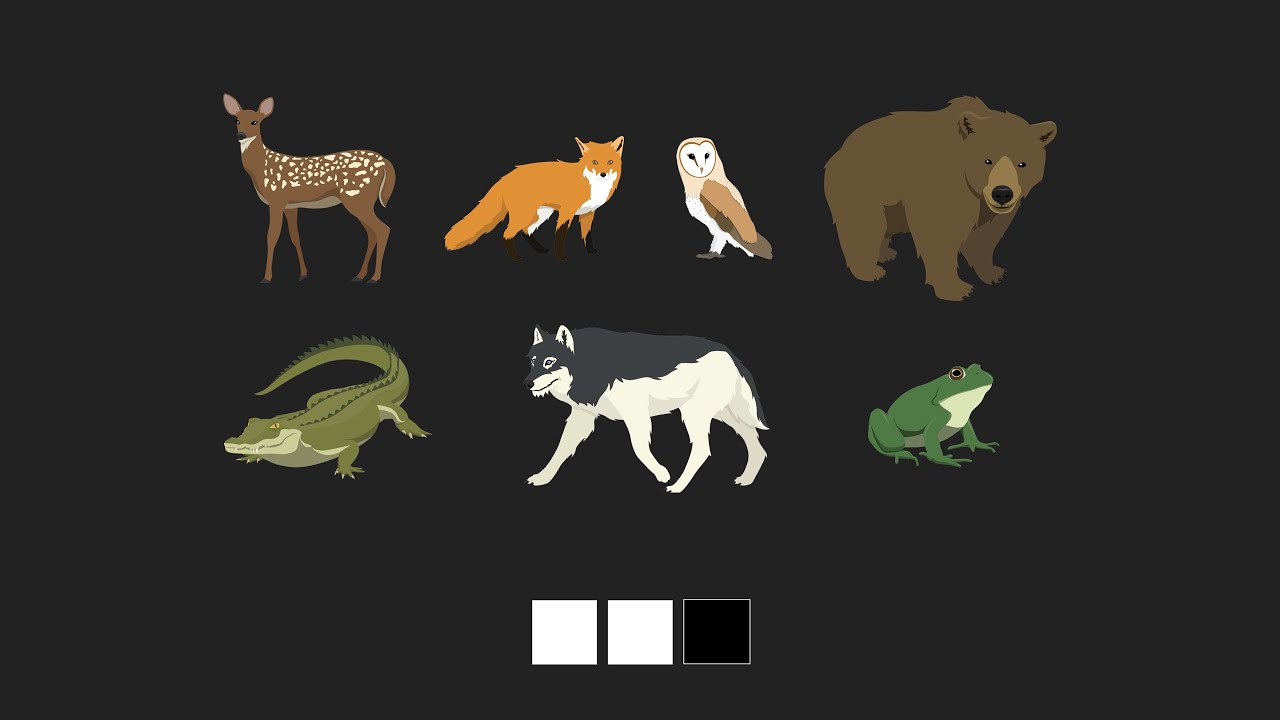 Learn Tagalog Vocabulary: Lesson 13 - Wild Animals 2 - YouTube