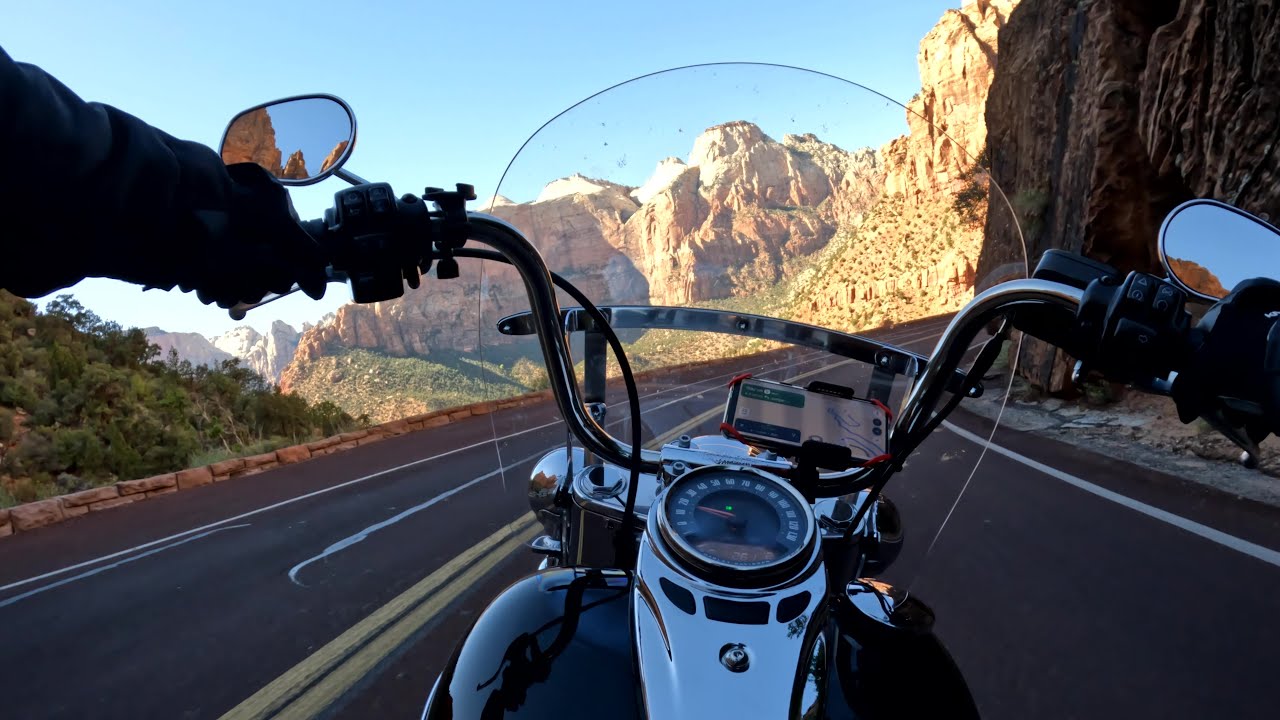 Mild Hogs 23 Short - YouTube