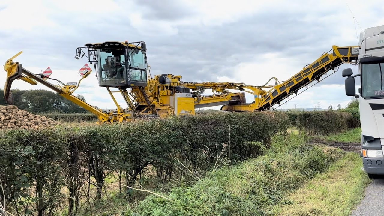 FARM UPDATE 190 MAUS LOADING SUGAR BEET LORRIES, NEW HOUSEHAM SPRAYER ...