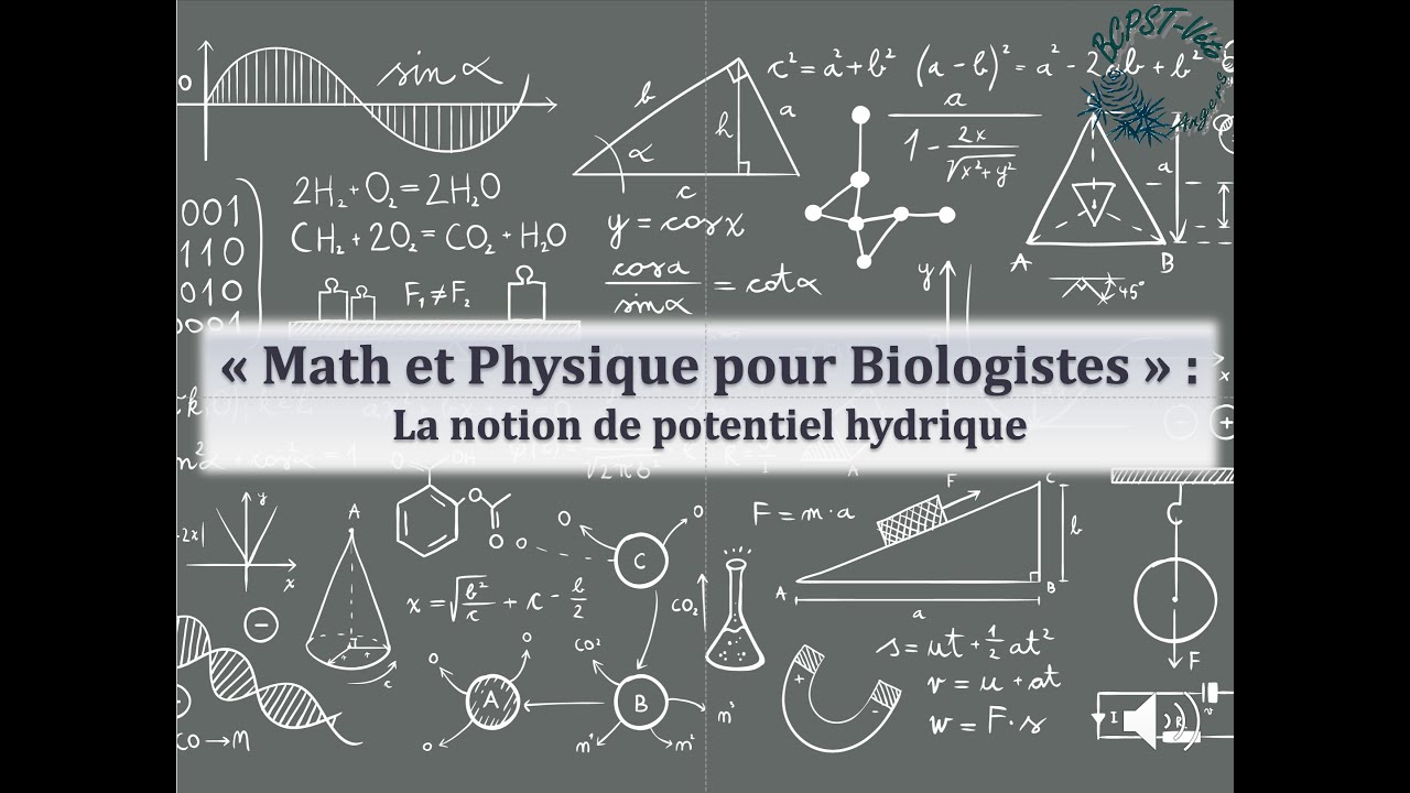 Math et Physique pour Biologistes: La notion de potentiel hydrique ...