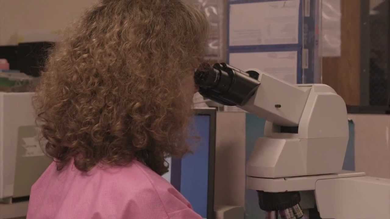 Dr. Barry Bunn - Voices of Vidant Video - YouTube