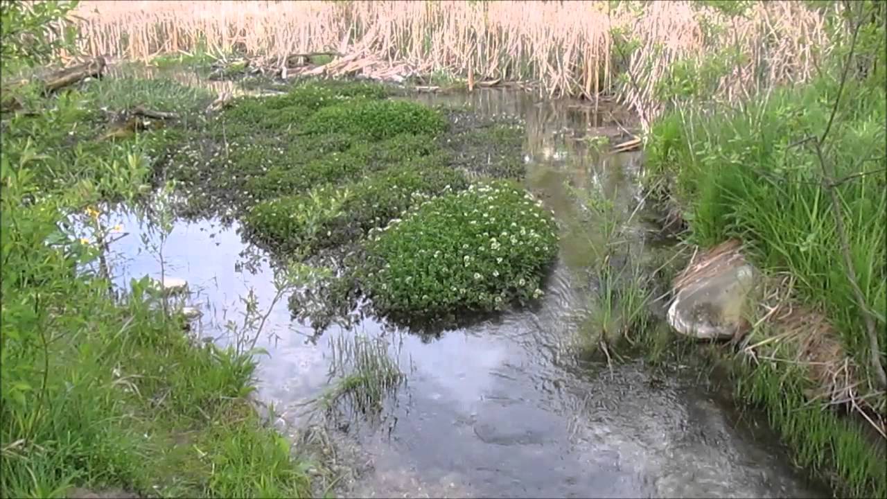 Camping at Ottawa Lake 2015 - YouTube