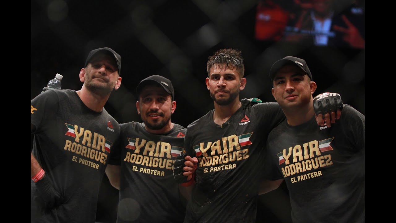 PANTERA RODRÍGUEZ: UFC 188 - YouTube