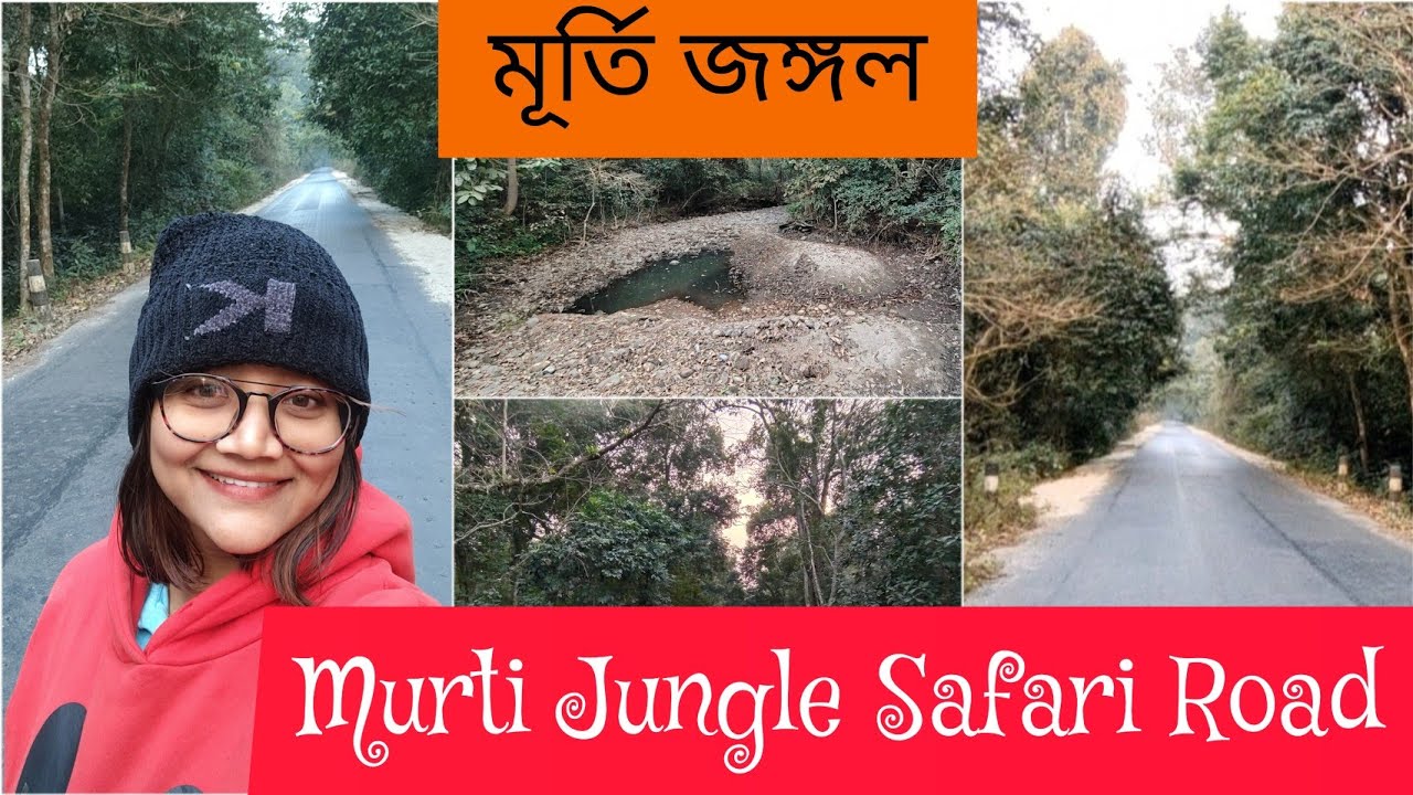 মূর্তি জঙ্গল || Murti Jungle Safari Road || Sunday Tour || Sutapa Ray ...