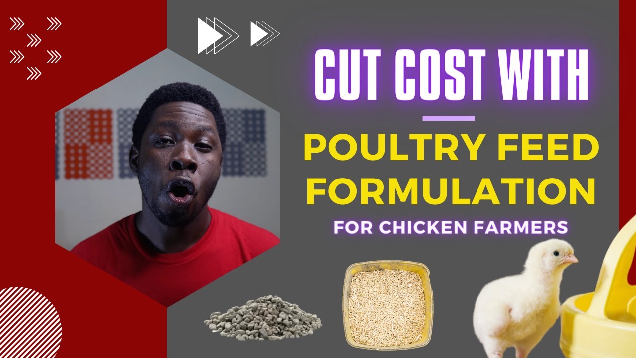 BEST POULTRY FEED FORMULATION TO SAVE CHICKEN FEEDING COST - With Feed ...