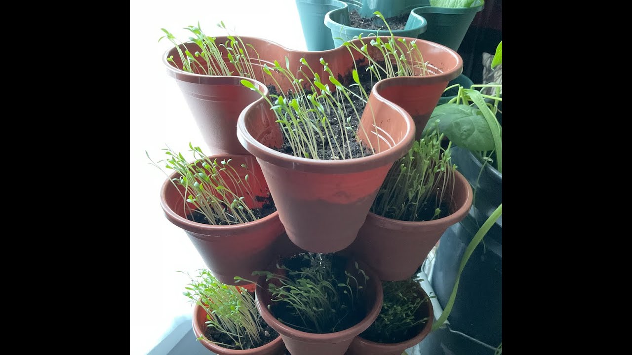 Vertical Planter, Stabilizing a vertical planter system, Stackable pots ...