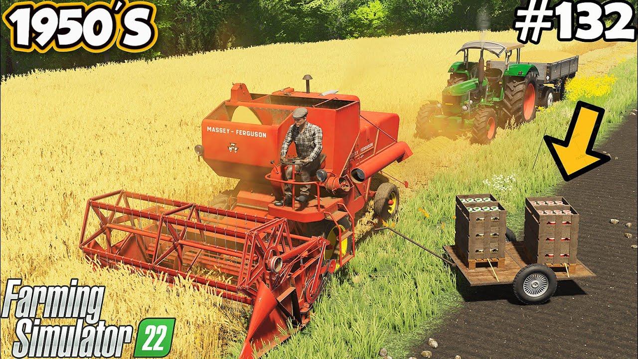 1950'S. WHEAT HARVEST. New idea: half-pallets for crates. Farming ...