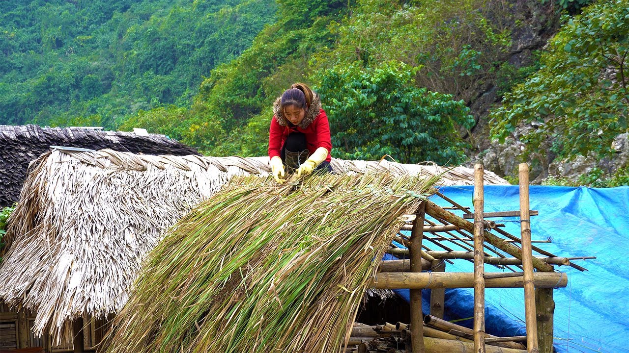 How to Roof a Firewood House | Complete Firewood House | New Life - YouTube