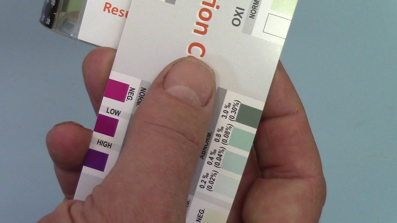 How ro read the adulteration test result on a cup test - YouTube