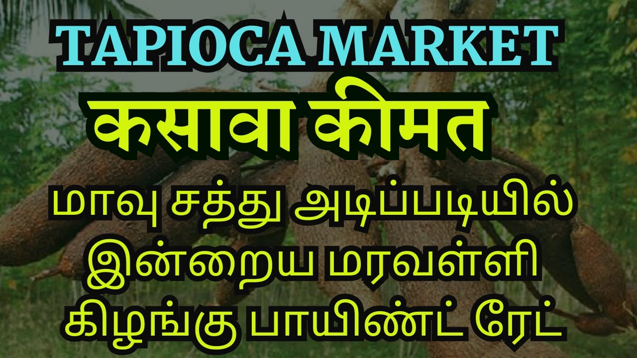 ஒரு டன் குச்சிக்கிழங்கு விலை | One Ton Tapioca Rate | Cassva Root Price ...