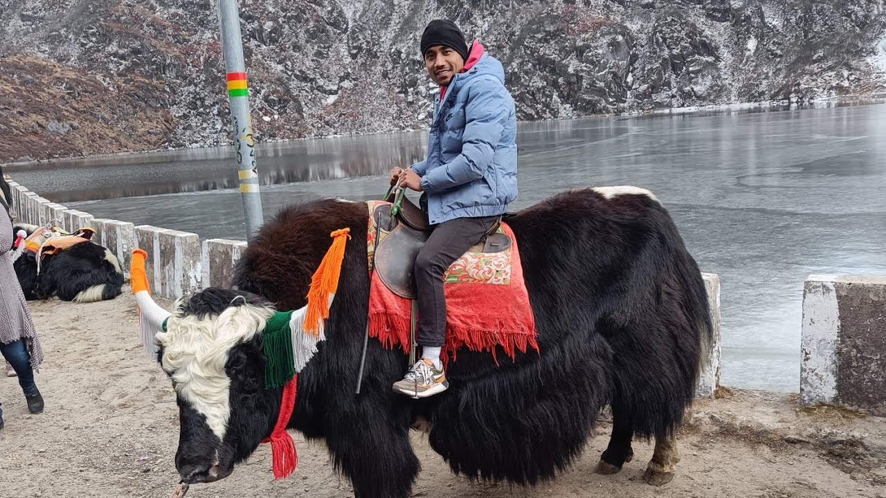 Live snowfall at Changu lake🌨️ MiNi vlog - YouTube