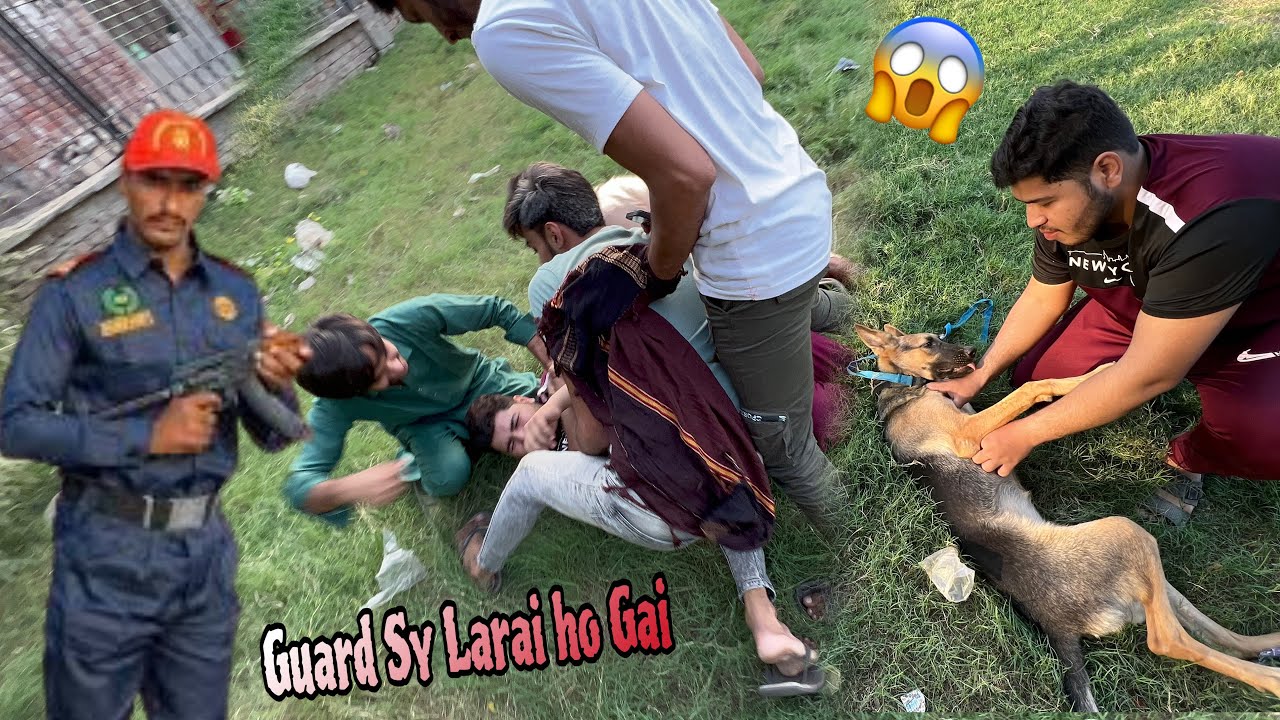German shepherd Dog Ko Park Ly Gea park Main Phada Ho Gea 😱 - YouTube