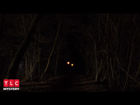 Lichter im Wald | Haunted - Seelen ohne Frieden | GANZE FOLGE | TLC Mystery