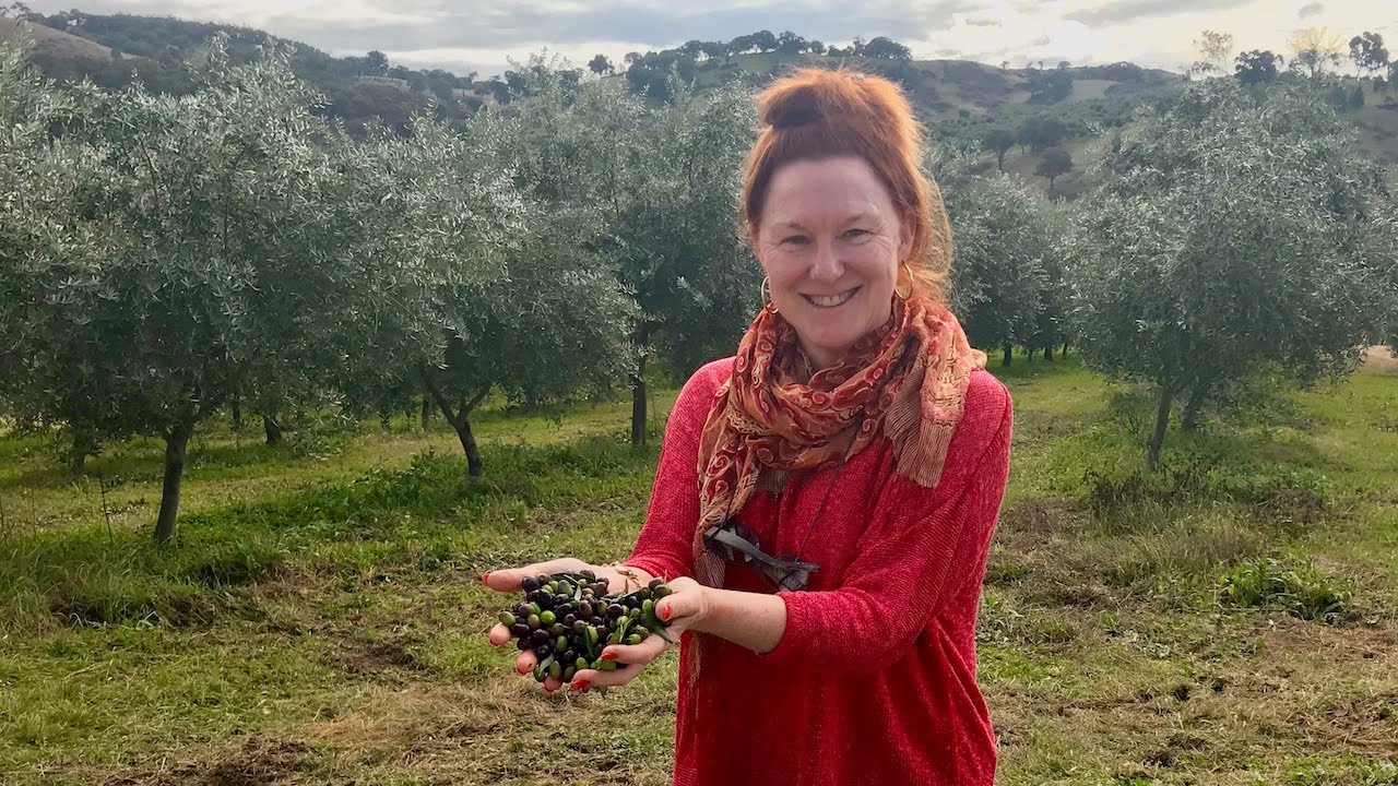 Extra Virgin Olive Oil Tasting with Robert Armstrong from ALTO Olives ...