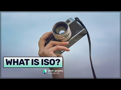 What is ISO? Digital Camera Settings Explained