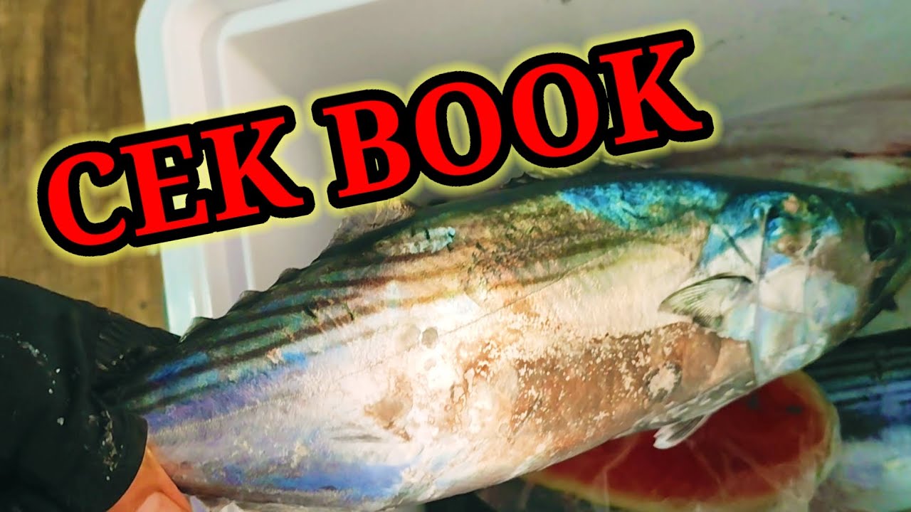 MANCING DI BADONG CEK BOOK - YouTube