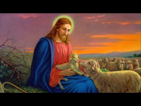 PRICEASNA - Oile mele, ce v-am facut eu...?